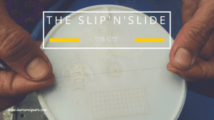 What Is Hair Porosity? How To Do Porous Hair Test At Home?